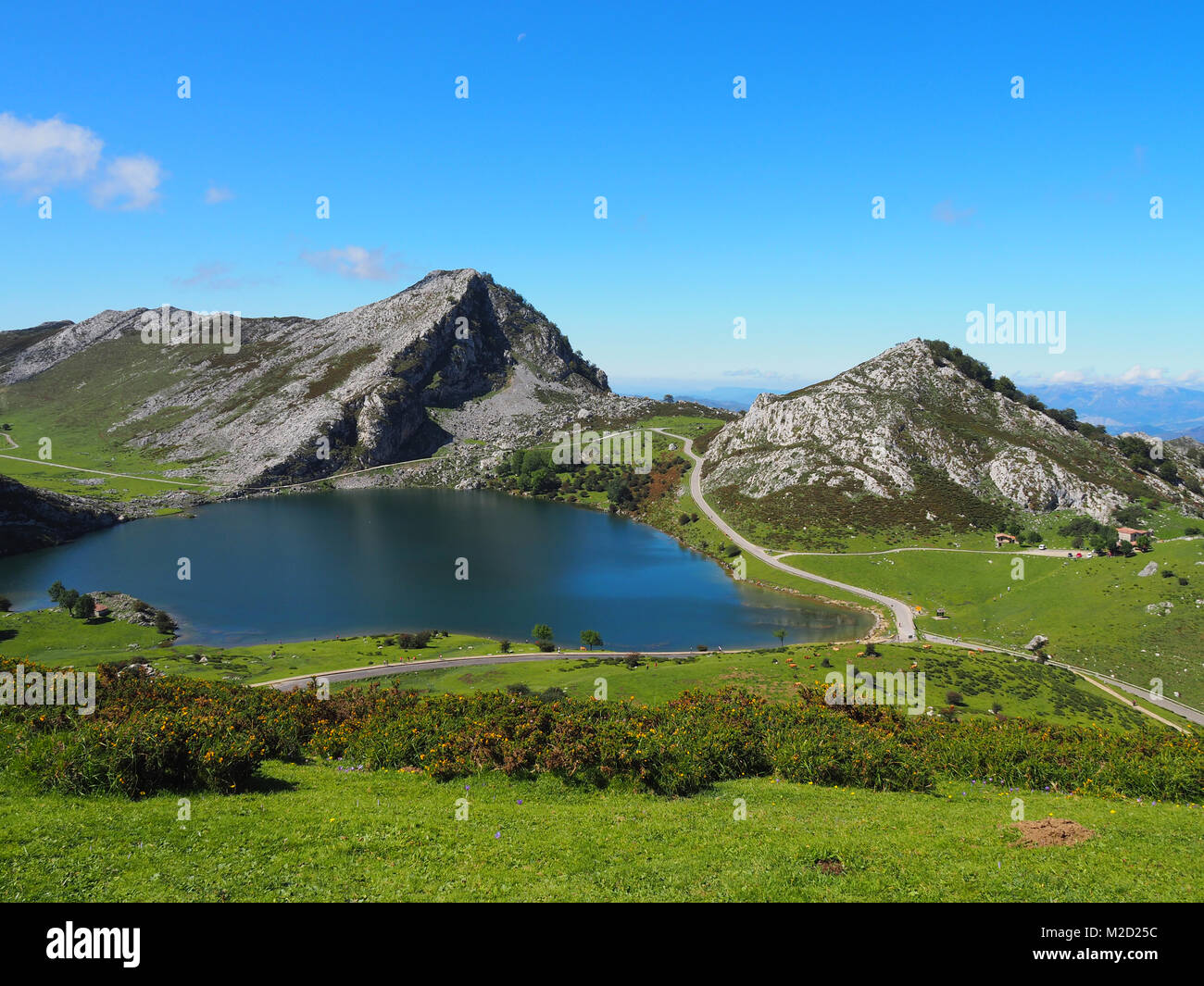 Vista del lago Enol presso i laghi di Covadonga nelle Asturie, Spagna ...