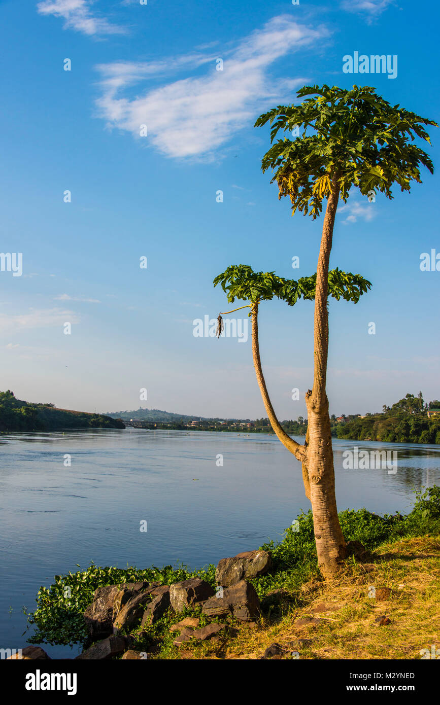 Fonte del nilo immagini e fotografie stock ad alta risoluzione - Alamy