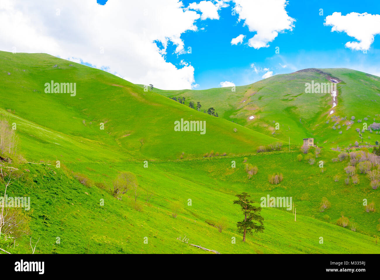 Serena foresta verde lussureggiante paesaggio con il cielo blu e nuvole ...