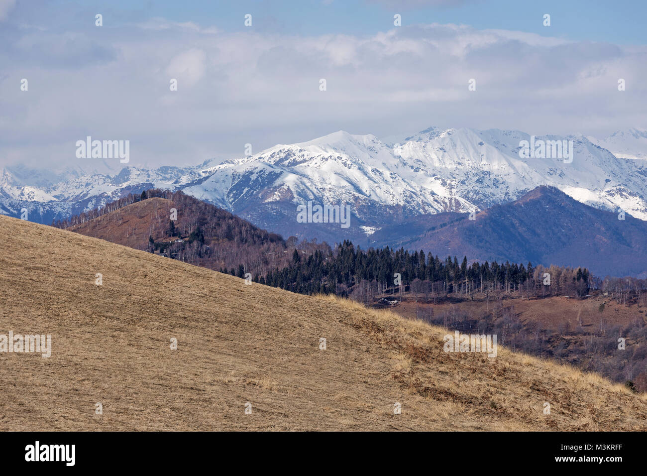 Parco del mottarone inverno immagini e fotografie stock ad alta ...