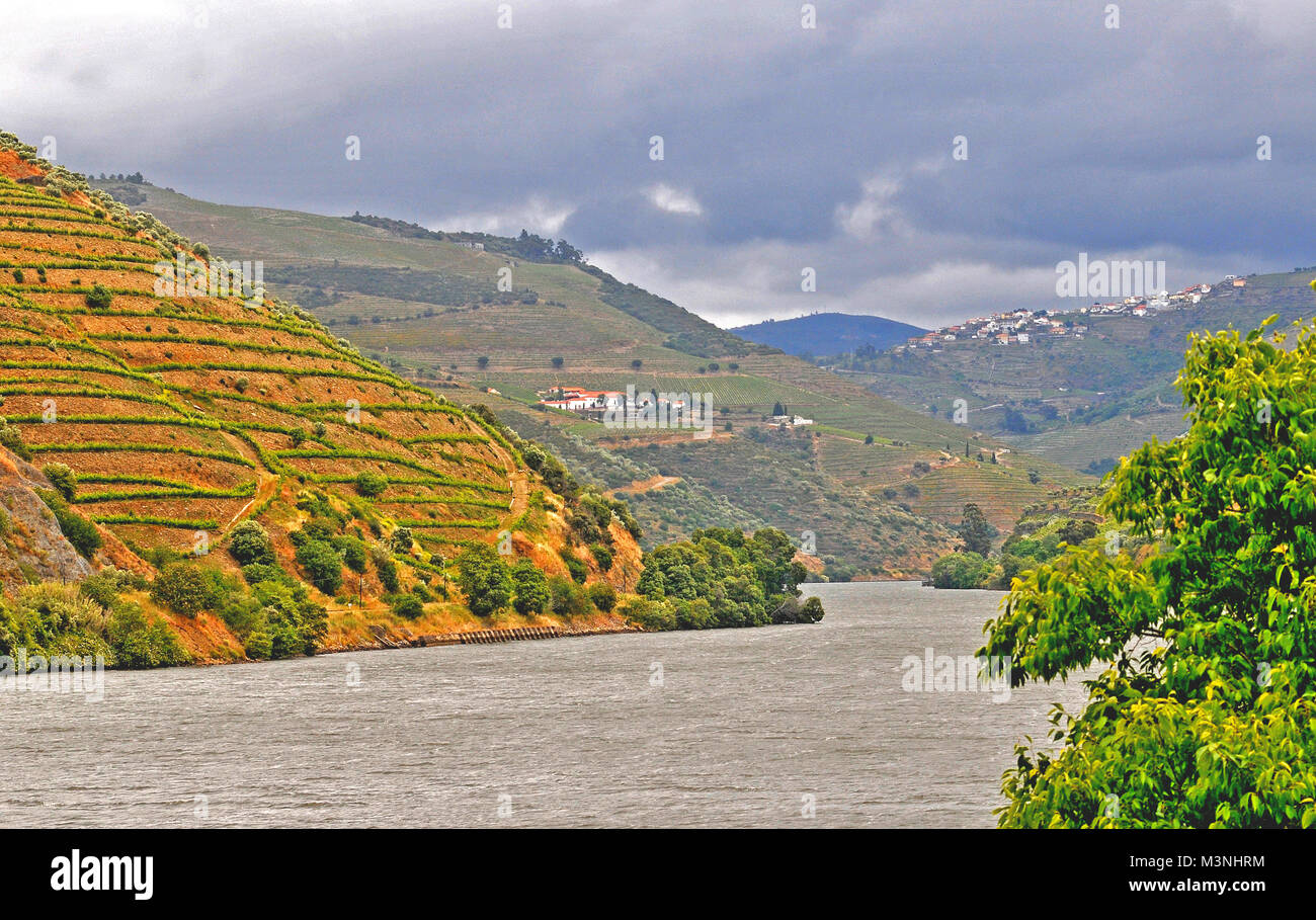 Vigneto fiume douro immagini e fotografie stock ad alta risoluzione - Alamy