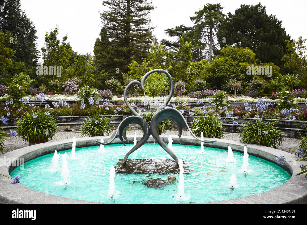 Mainau insel immagini e fotografie stock ad alta risoluzione - Alamy