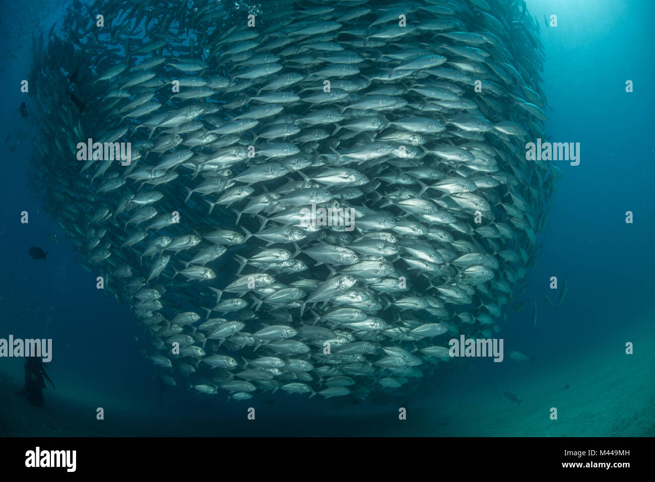Avventura scolastica immagini e fotografie stock ad alta risoluzione ...