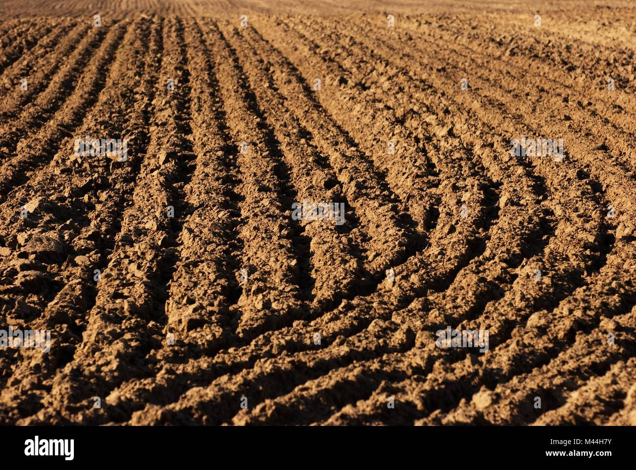 Solchi e solchi immagini e fotografie stock ad alta risoluzione - Alamy