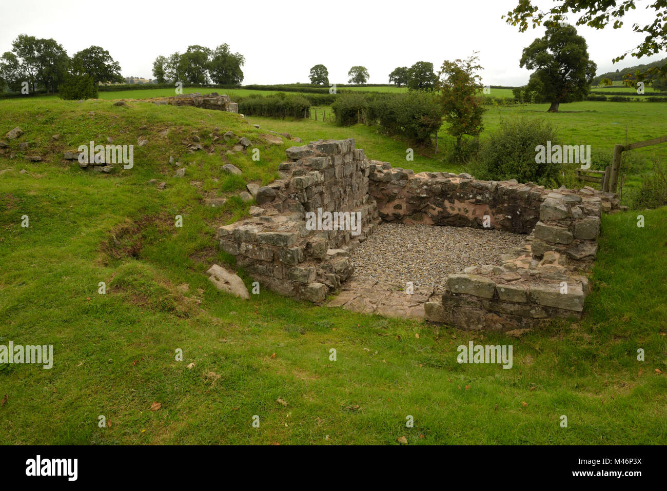 Angolo nord orientale immagini e fotografie stock ad alta risoluzione ...
