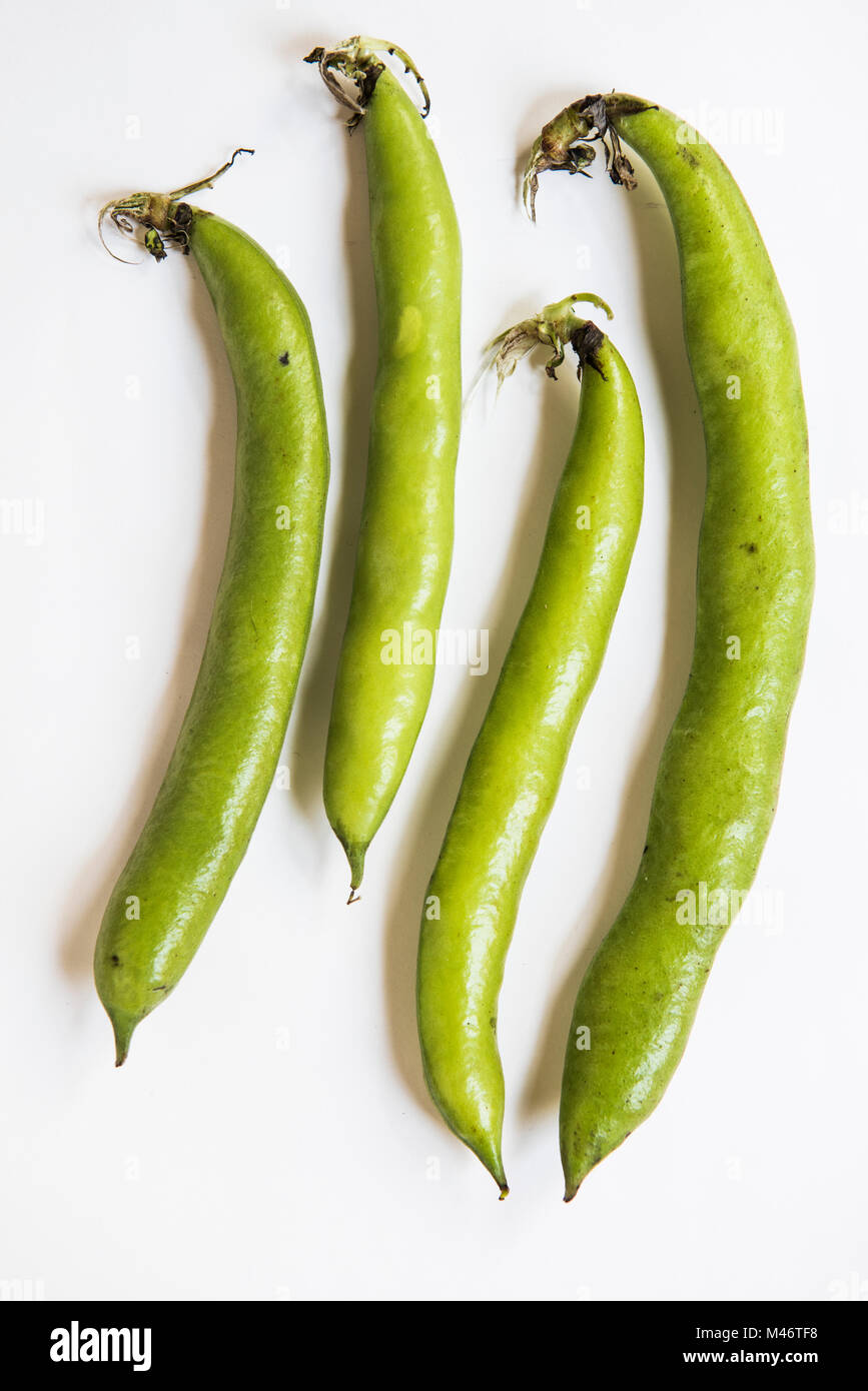 Fava fagioli sfondo bianco immagini e fotografie stock ad alta ...