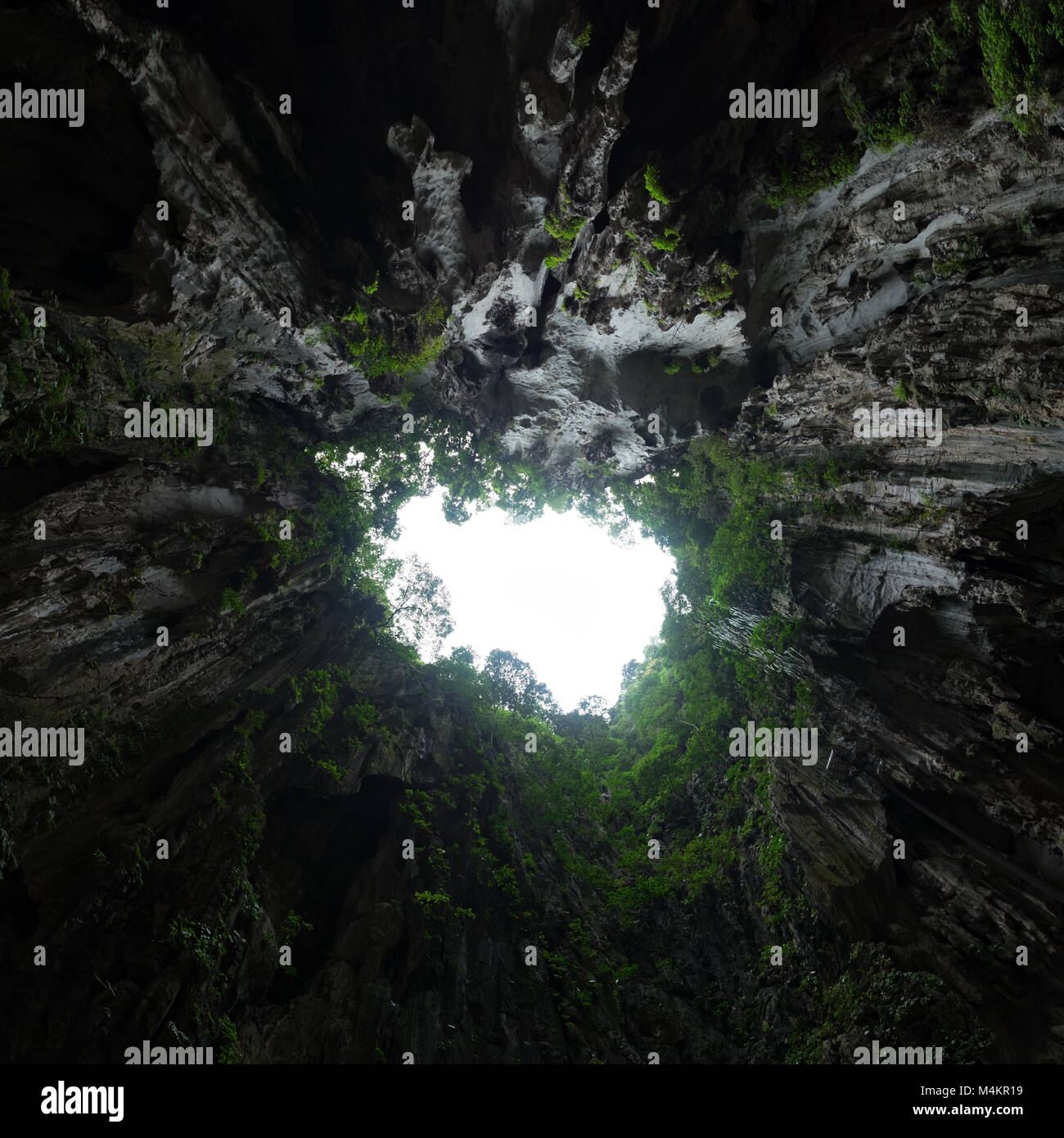 Burrone profondo immagini e fotografie stock ad alta risoluzione - Alamy