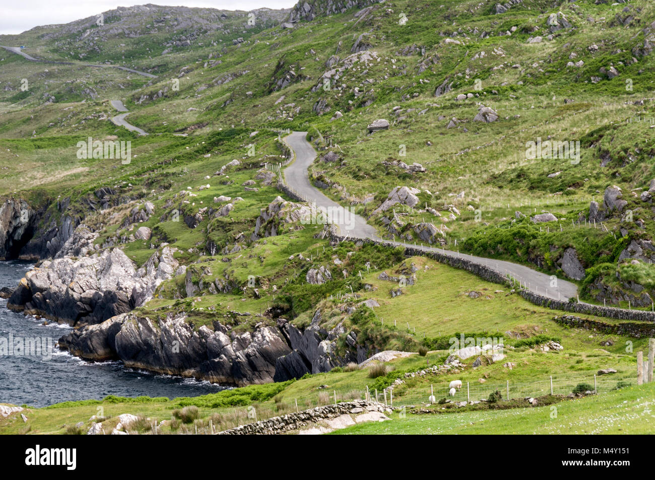 Una stretta strada costiera, parte del Ring of Beara nell'Irlanda del ...
