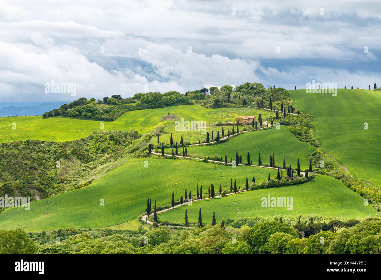 Strada con cipressi e una casa colonica immagini e fotografie stock ad ...