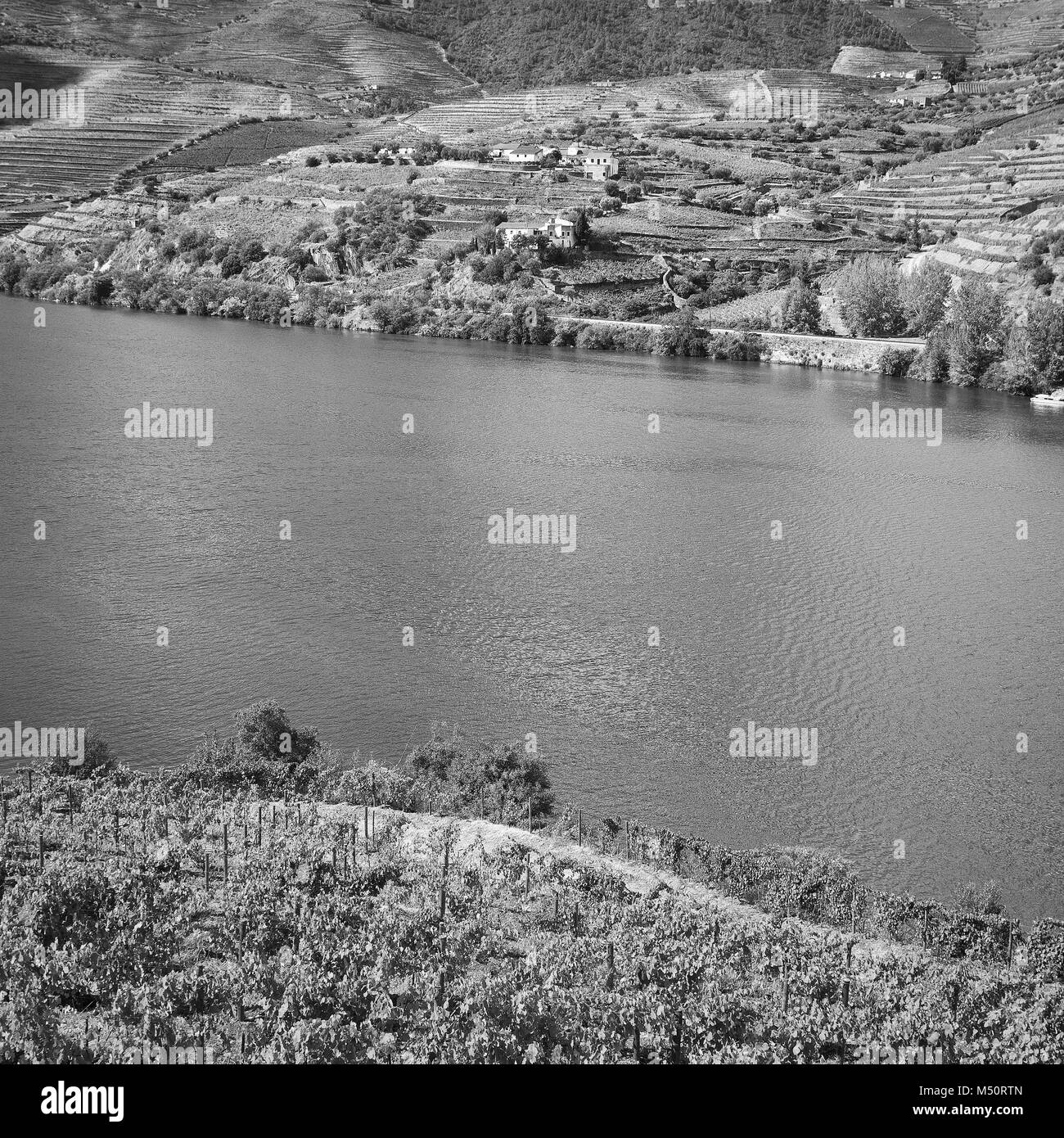 Vigneto fiume douro Foto e Immagini Stock in Bianco e Nero - Alamy