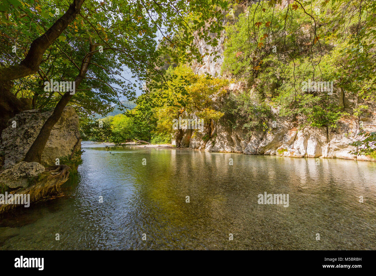 Alberi nella mitologia immagini e fotografie stock ad alta risoluzione ...