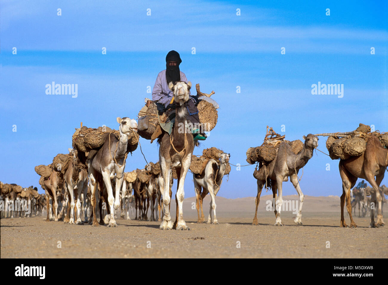 Niger. Agadez. Deserto del Sahara. Il Sahel. Deserto Tenerè. Tribù ...
