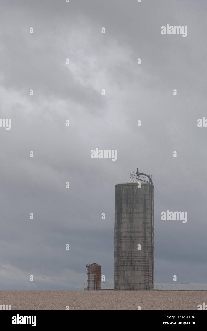 Vecchi silos grandi e piccoli silos immagini e fotografie stock ad alta ...