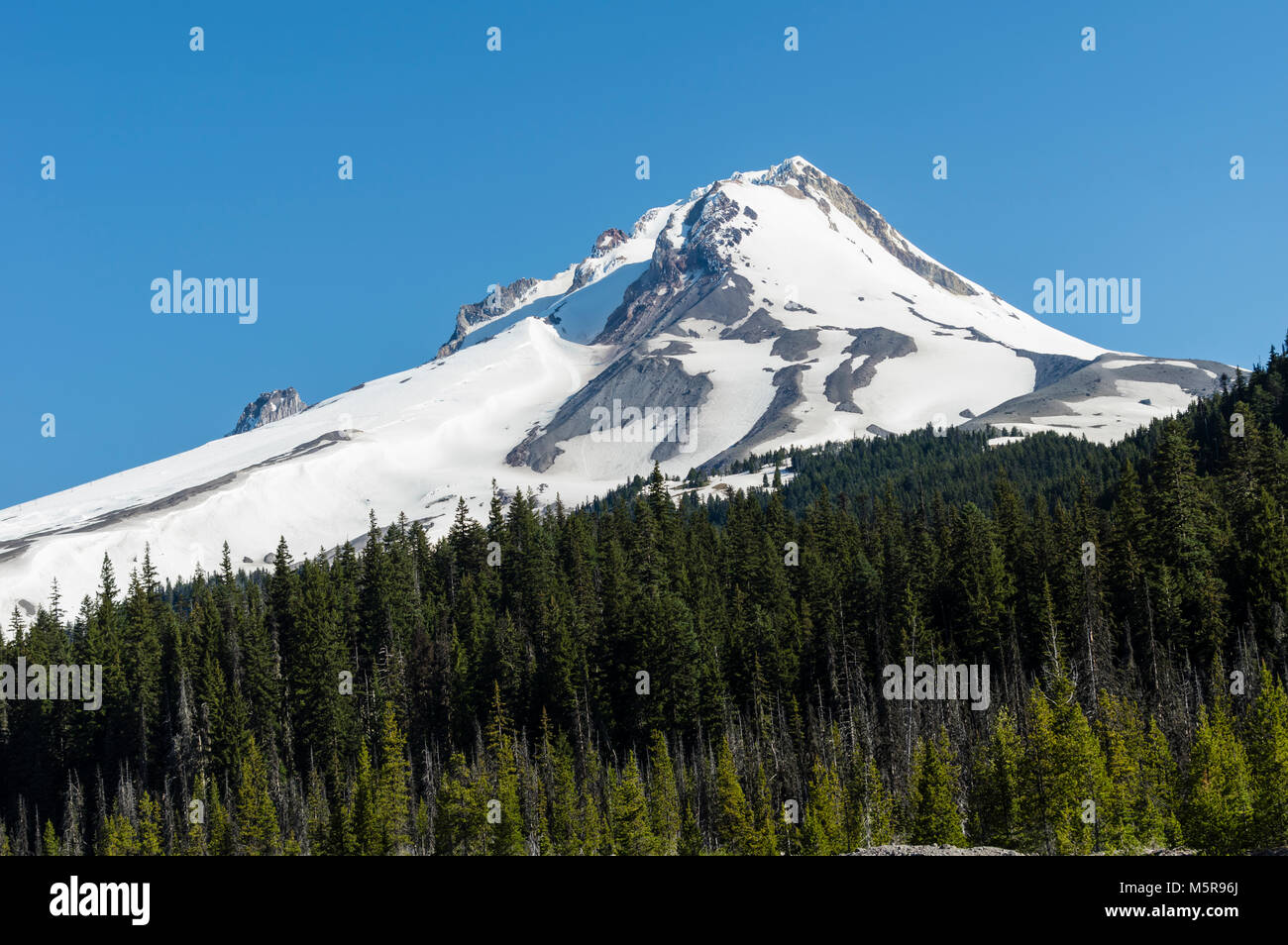 Skilift palmer immagini e fotografie stock ad alta risoluzione - Alamy