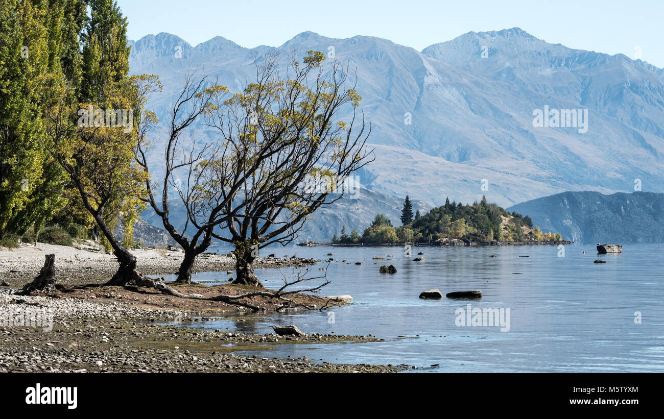 Turismo Di Wanaka Immagini e Fotos Stock - Alamy