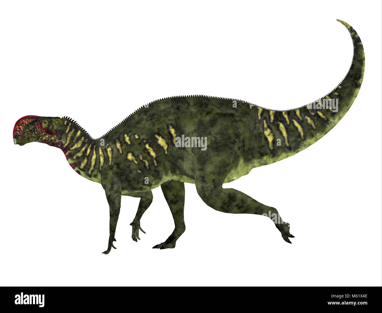 Periodo cretaceo immagini e fotografie stock ad alta risoluzione - Alamy