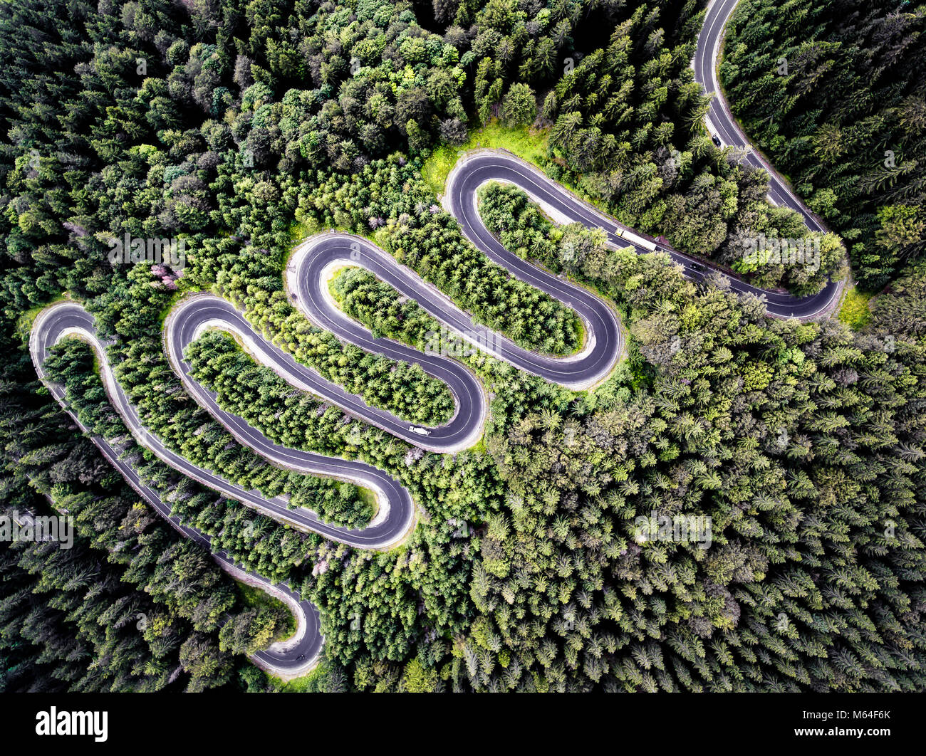 Strada tortuosa nella foresta. Transilvania, Romania, l'Europa ...