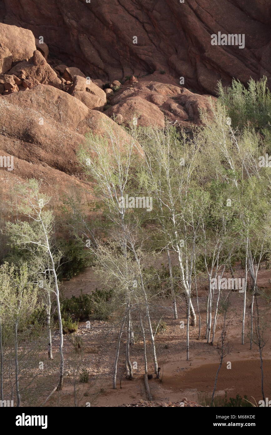Paesaggi marocchini immagini e fotografie stock ad alta risoluzione - Alamy