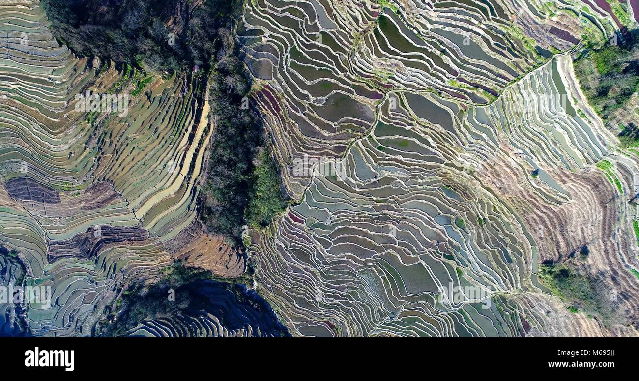 Vista aerea sul mondo più spettacolari campi di riso, il Yuanyang Hani ...