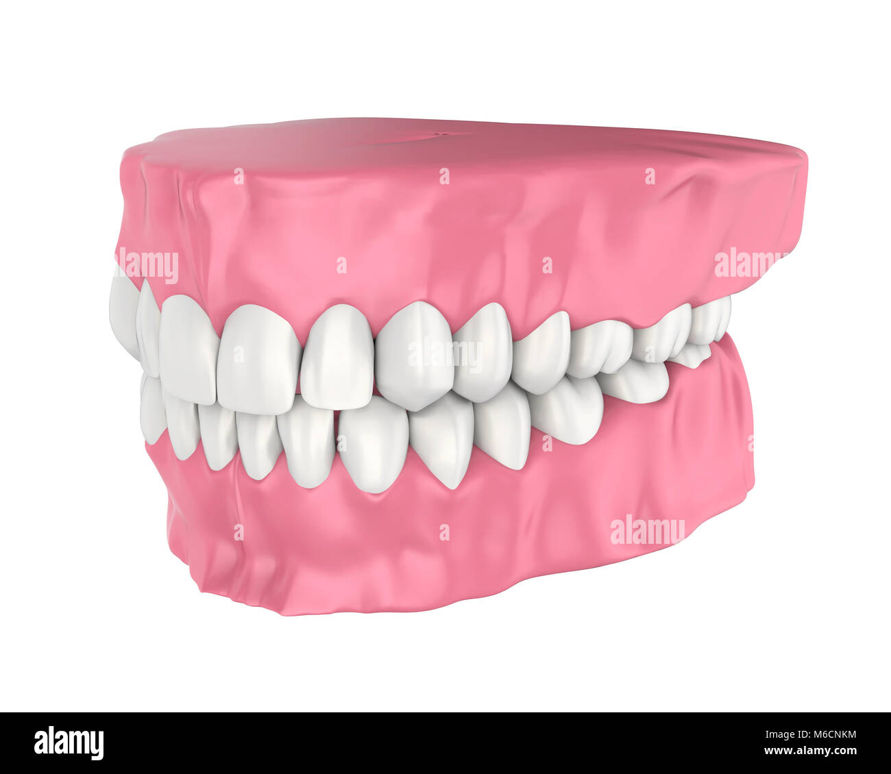 Gengive della mascella della bocca dei denti dei denti Immagini senza ...