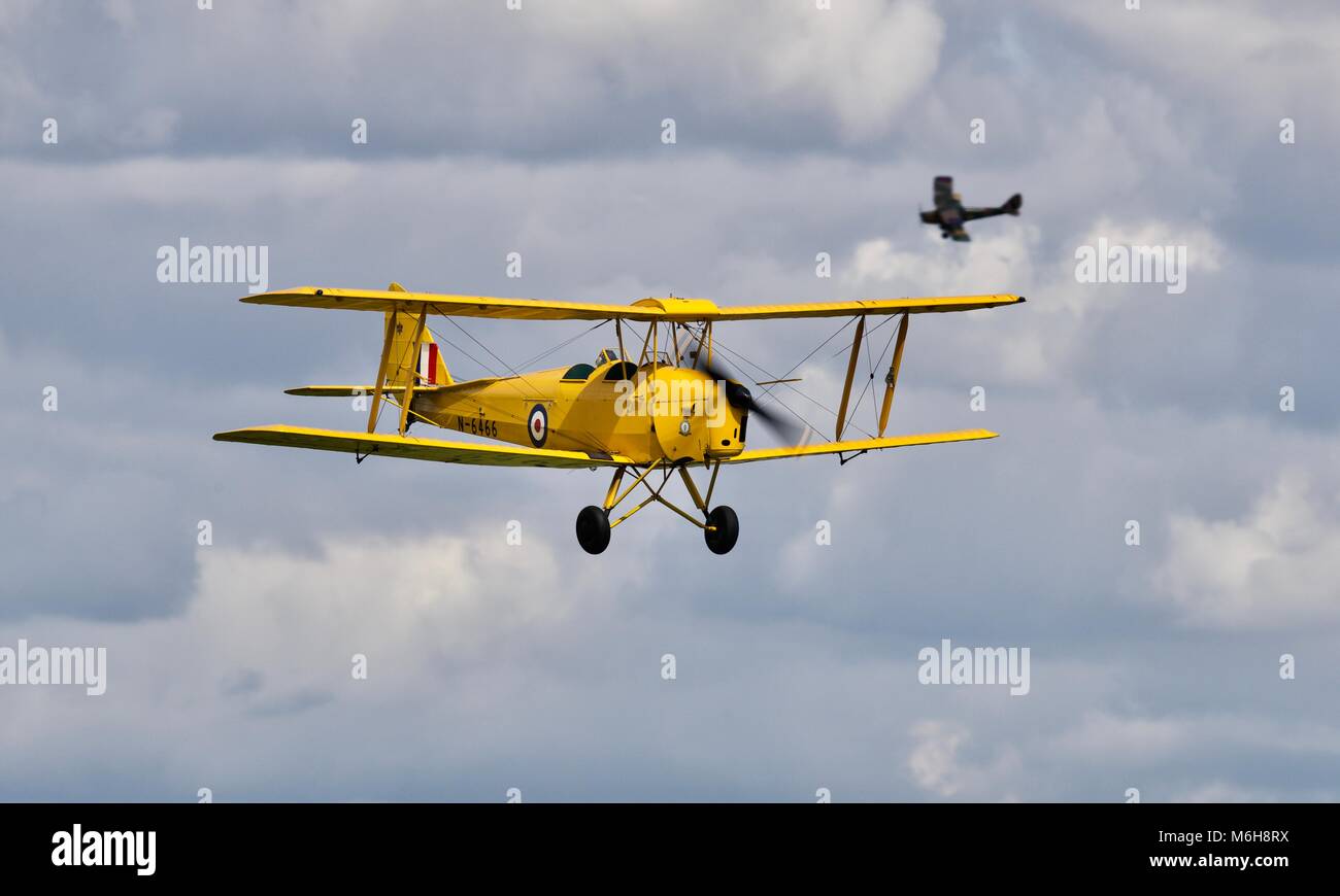 Dh 82a tigre falena ii immagini e fotografie stock ad alta risoluzione ...