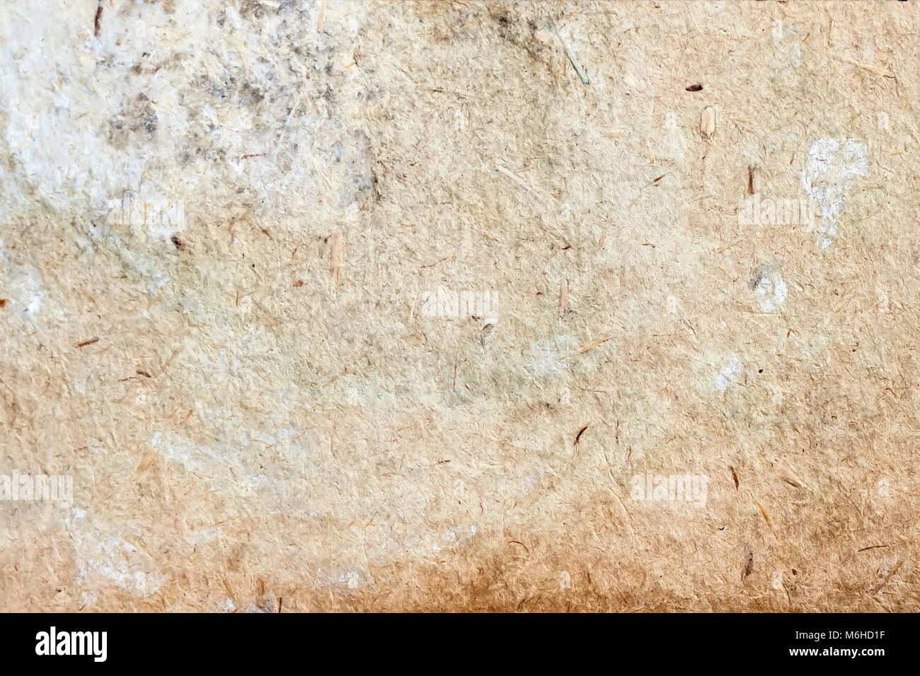Texture della vecchia carta di muffa con macchie di sporco, macchie ...