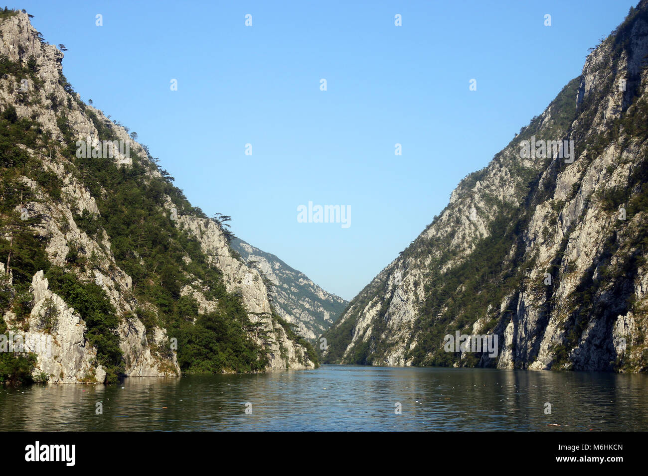 Natura inquinata con plastica immagini e fotografie stock ad alta ...