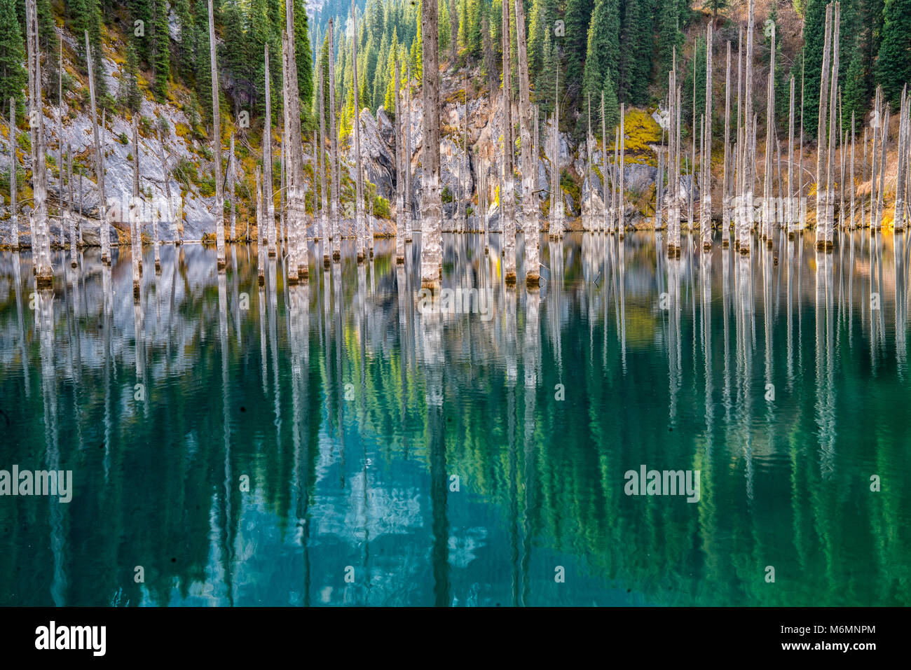 Il Sunken Foresta, Lago Kaindy, in Kazakistan e in Asia centrale, Blue ...
