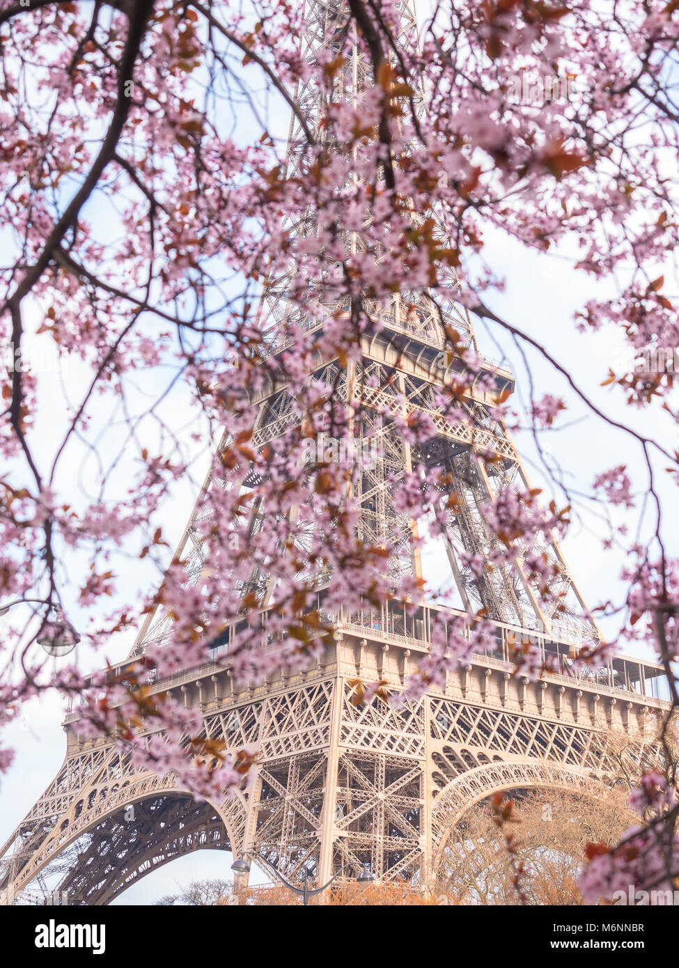 Pinky parigi immagini e fotografie stock ad alta risoluzione - Alamy