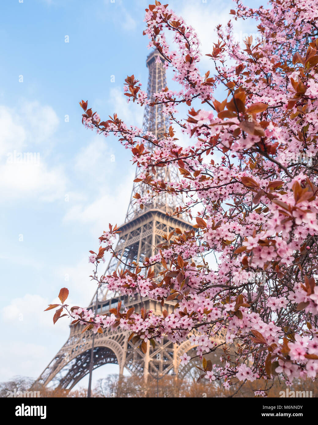 Pinky parigi immagini e fotografie stock ad alta risoluzione - Alamy