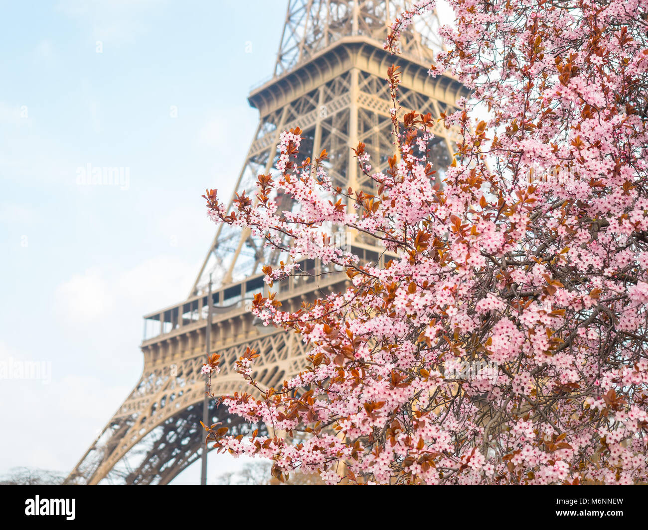 Pinky parigi immagini e fotografie stock ad alta risoluzione - Alamy