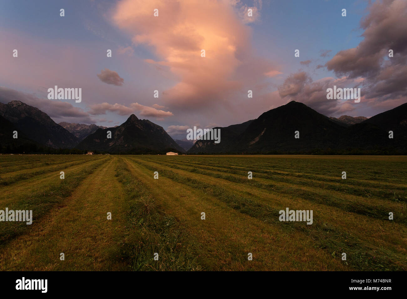 Monte svinjak immagini e fotografie stock ad alta risoluzione - Alamy