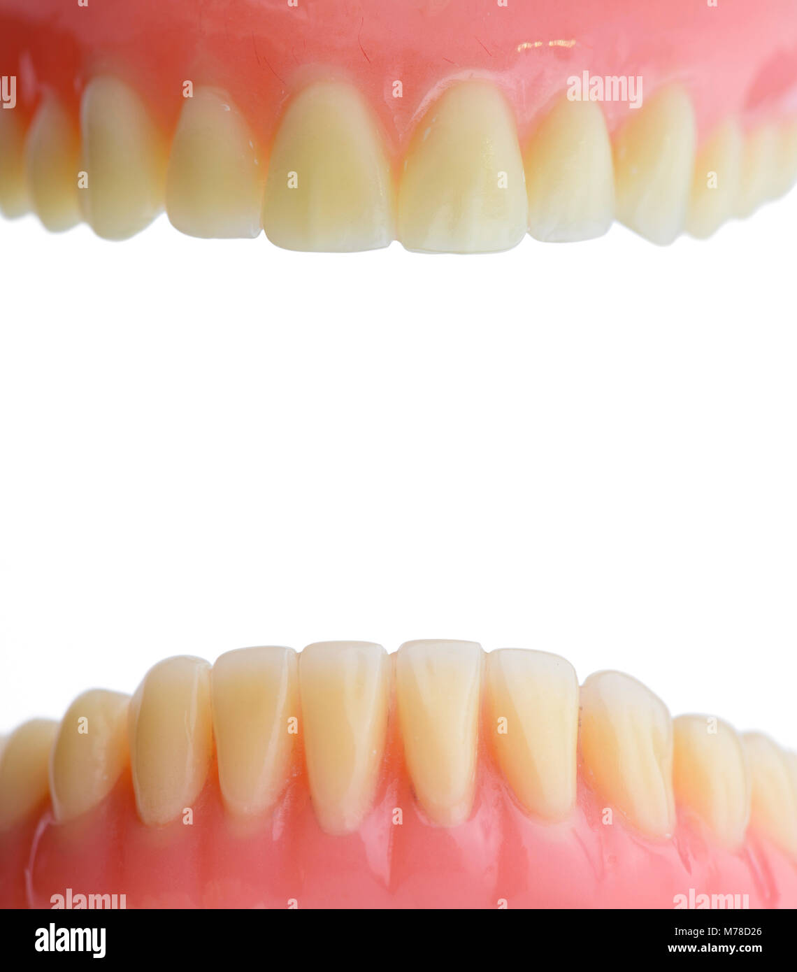 Bocca anatomia immagini e fotografie stock ad alta risoluzione - Alamy