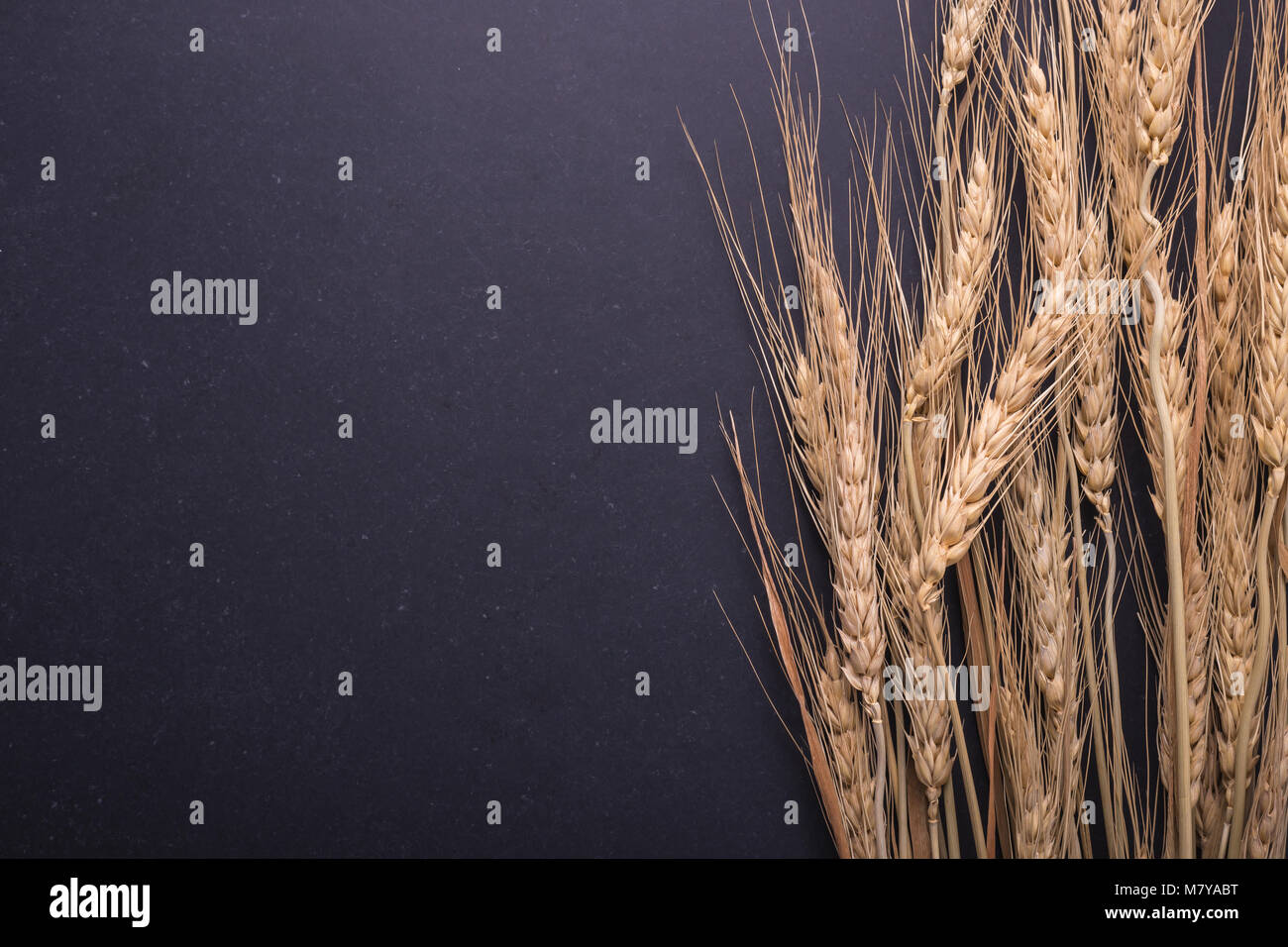 Simboli delle colture immagini e fotografie stock ad alta risoluzione - Alamy