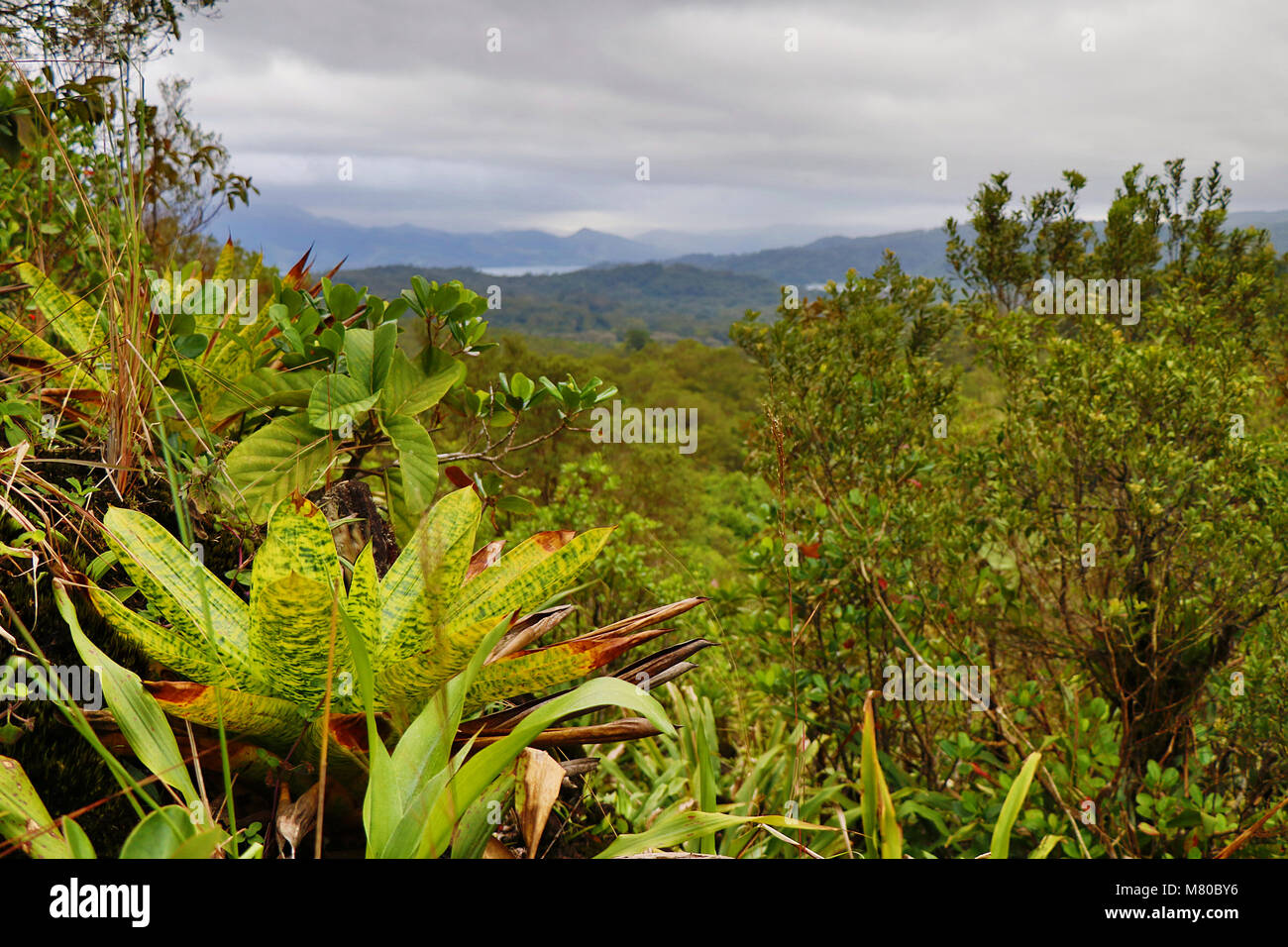 Luoghi da visitare in costa rica immagini e fotografie stock ad alta ...