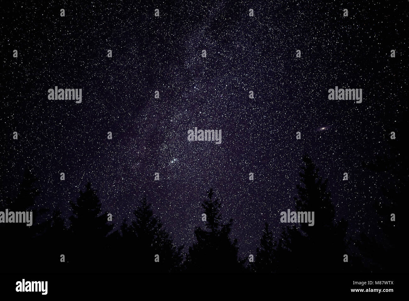 Notte stellata immagini e fotografie stock ad alta risoluzione - Alamy