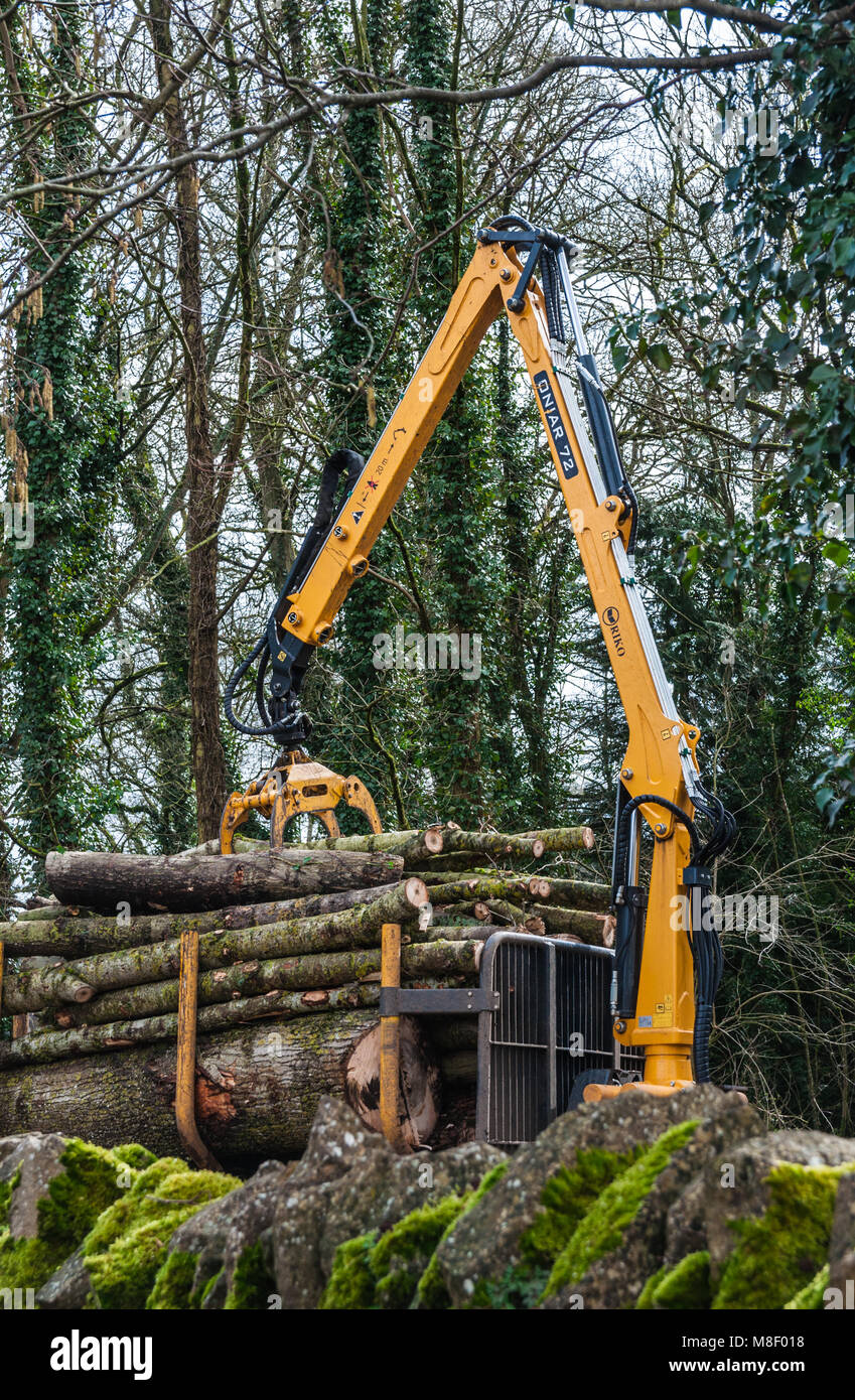 Tronchi di sollevamento immagini e fotografie stock ad alta risoluzione ...
