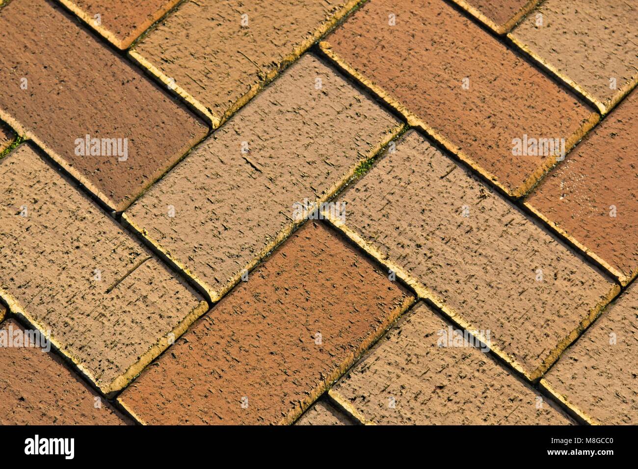 Motivo A Spina Di Pesce In Mattoni Immagini e Fotos Stock - Alamy