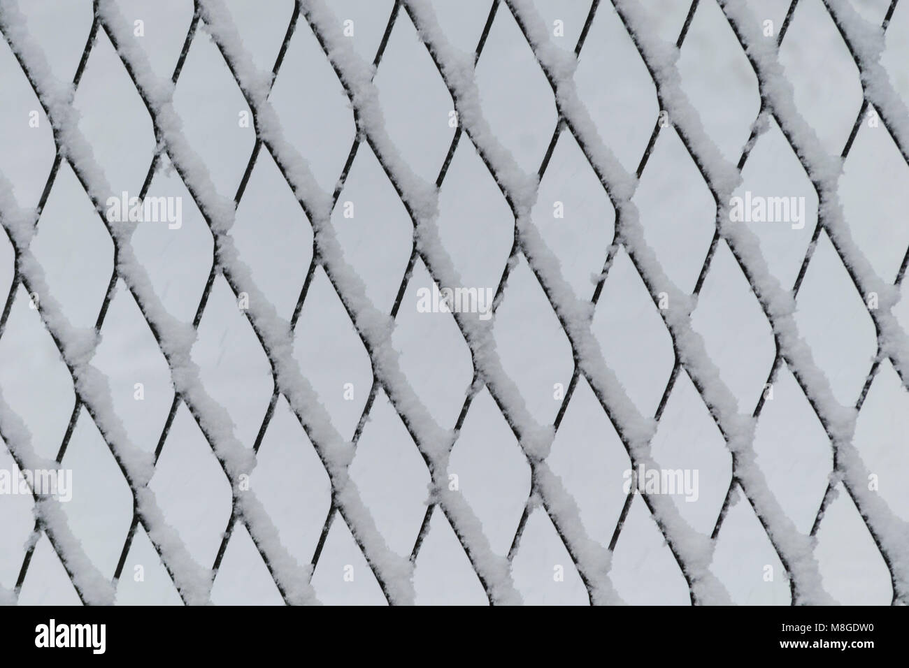 Recinzione di filo spinato brina congelamento freddo immagini e ...