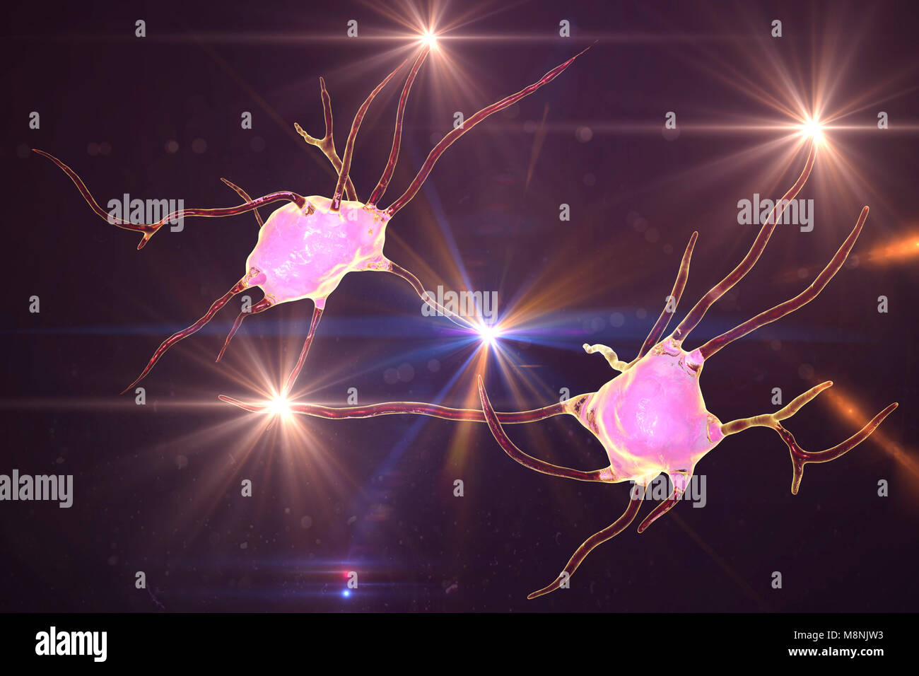 Le cellule nervose. Illustrazione del calcolatore di cellule nervose o ...