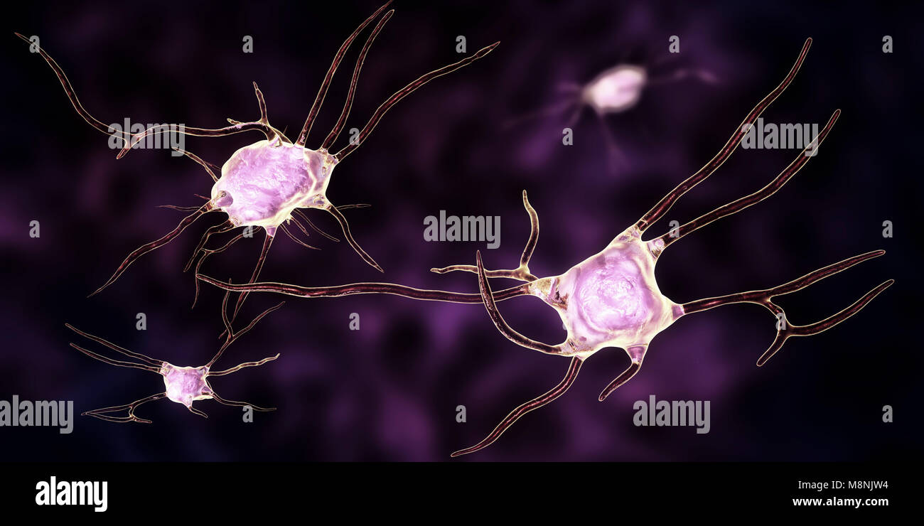 Assoni delle cellule nervose immagini e fotografie stock ad alta ...