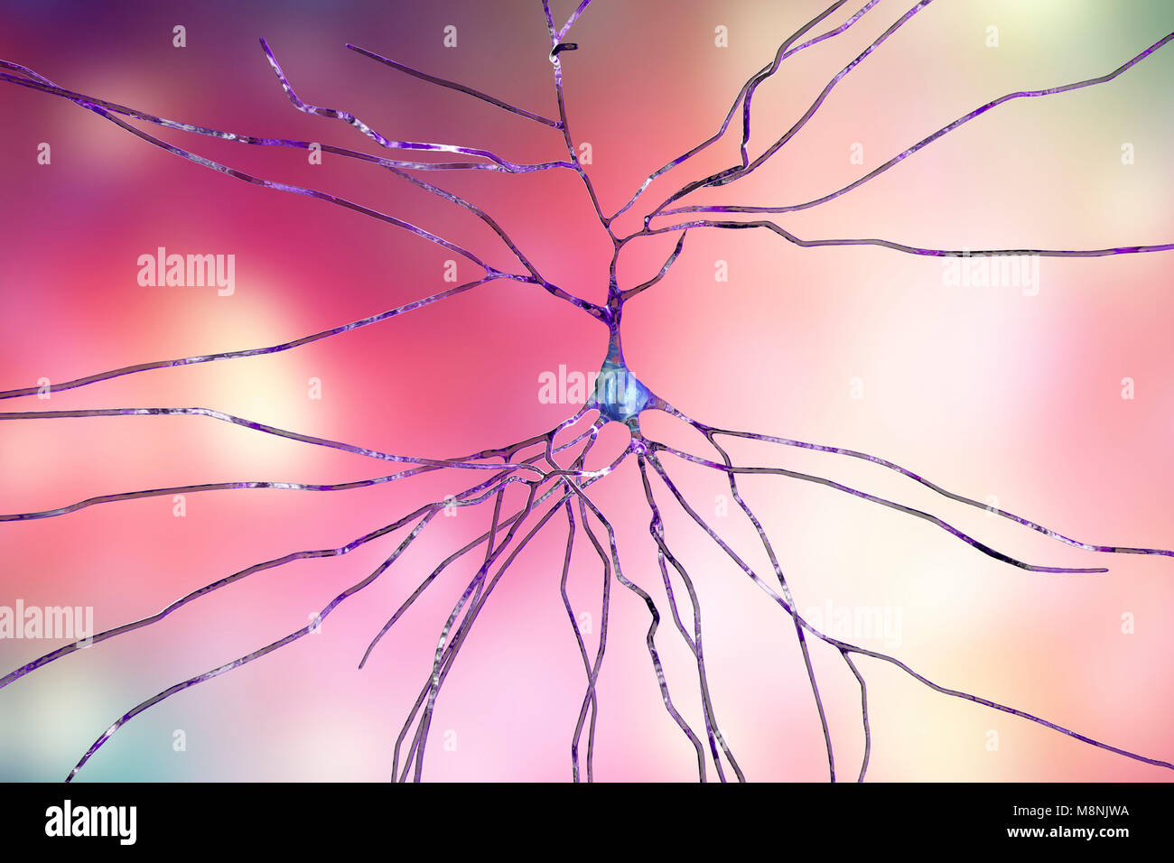 Le cellule nervose. Illustrazione del calcolatore di cellule nervose o ...