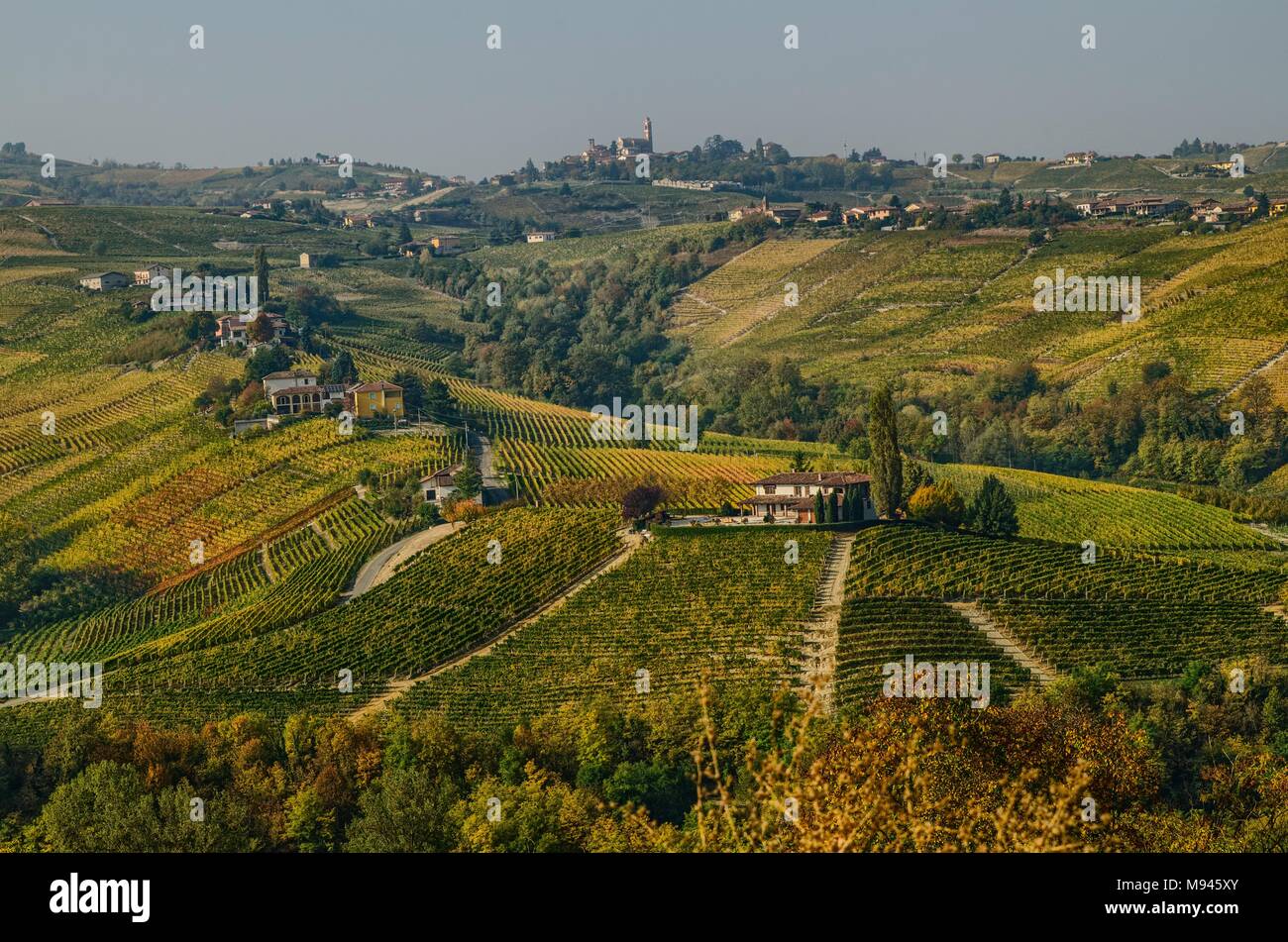 Panoramica vista autunnale del Monferrato, vicino a Calosso, Piemonte ...