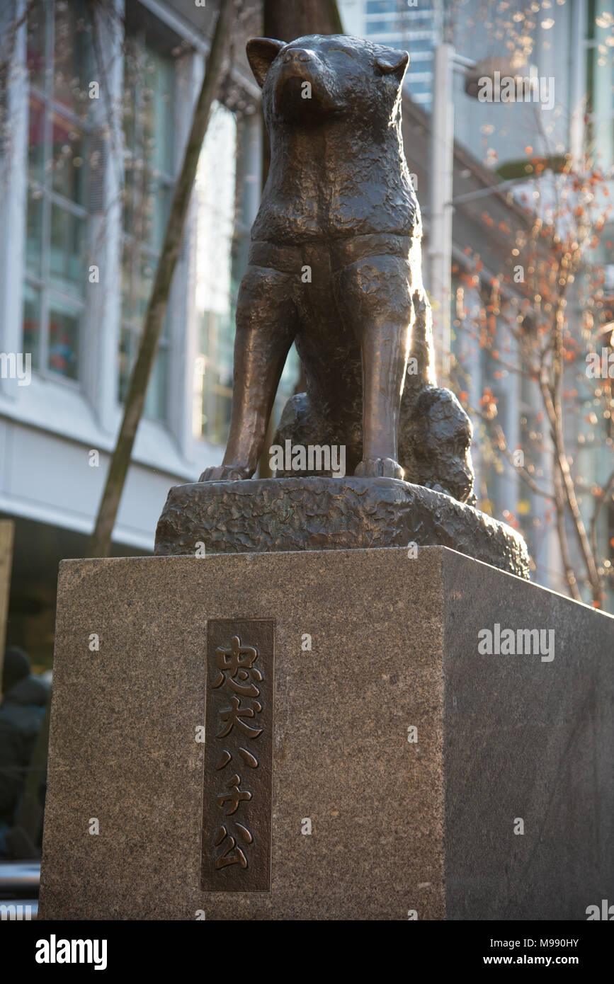 Cane hachiko akita immagini e fotografie stock ad alta risoluzione - Alamy