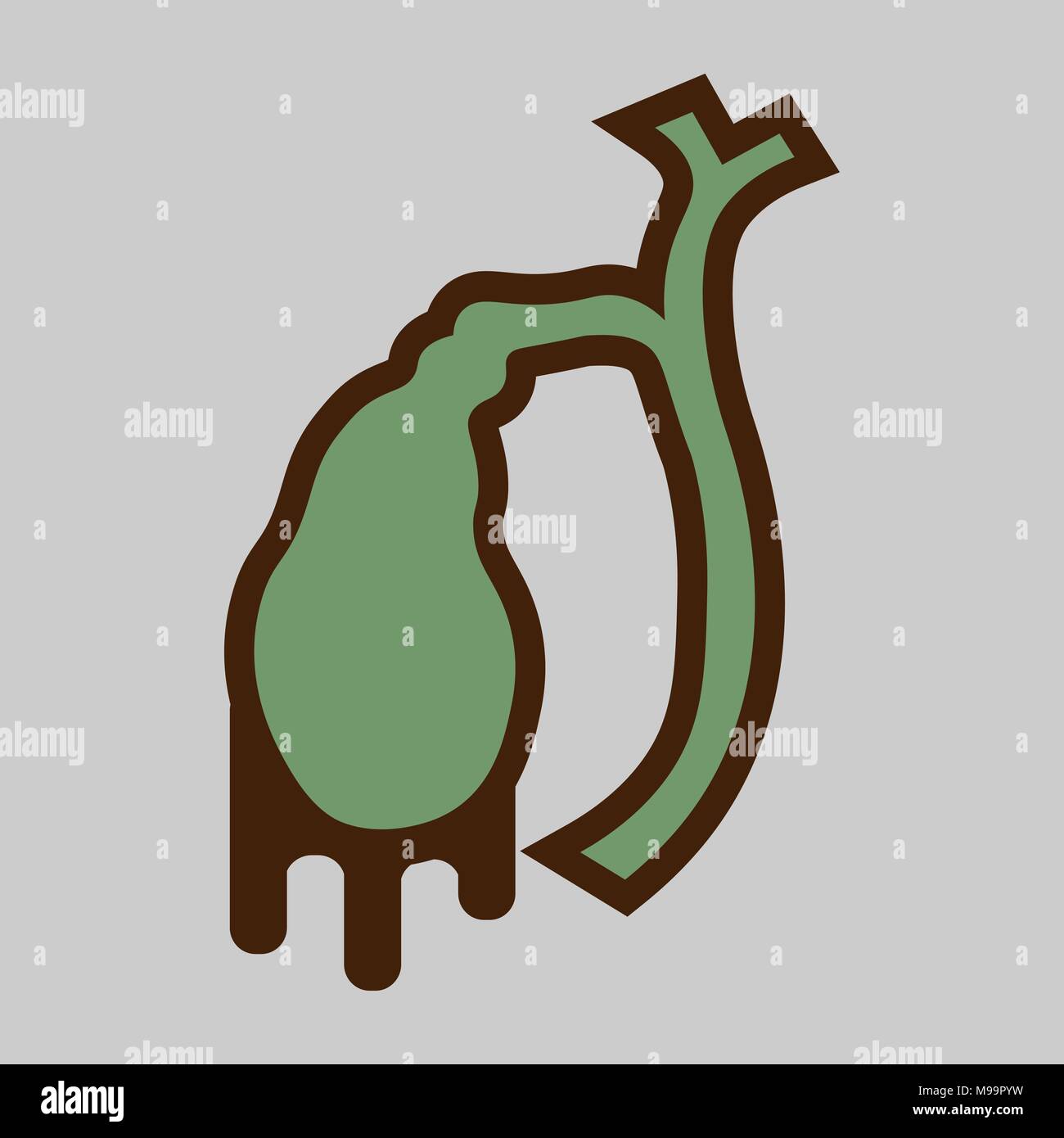 Vie biliari immagini e fotografie stock ad alta risoluzione - Alamy