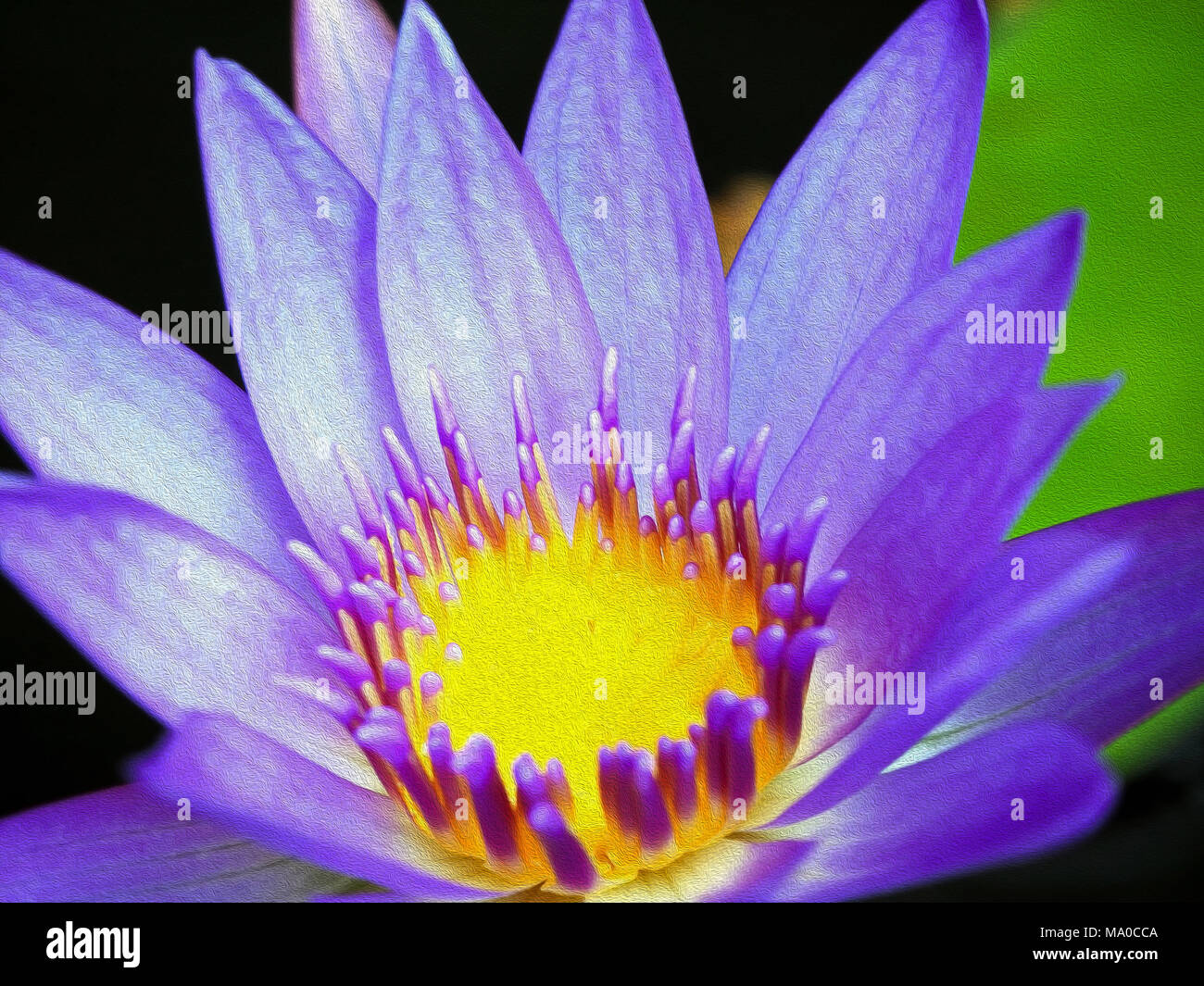 Oil painting texture immagini e fotografie stock ad alta risoluzione ...