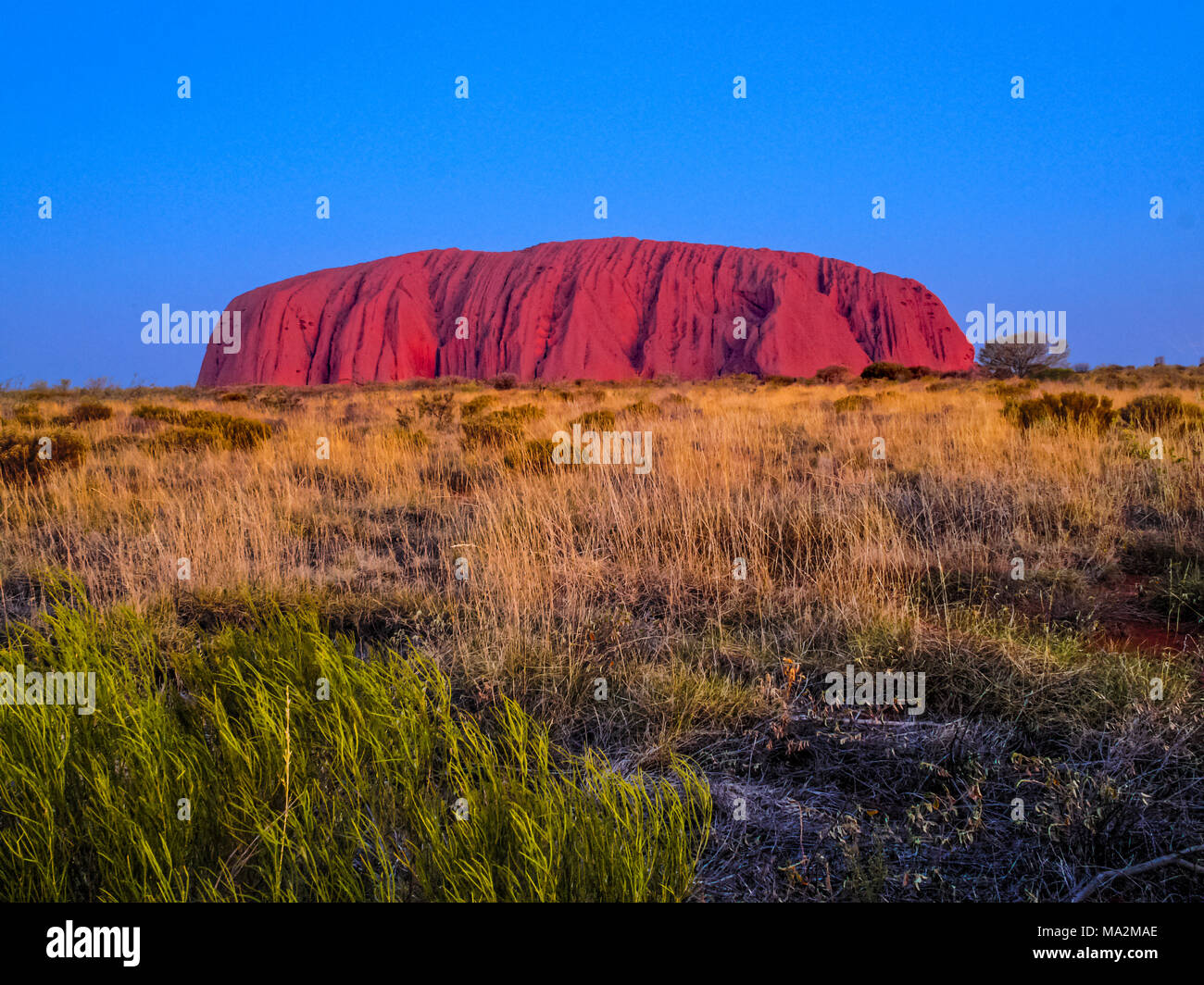 Tramonto a Ayers Rock. Australia. Uluru, o Ayers Rock, è un massiccio ...