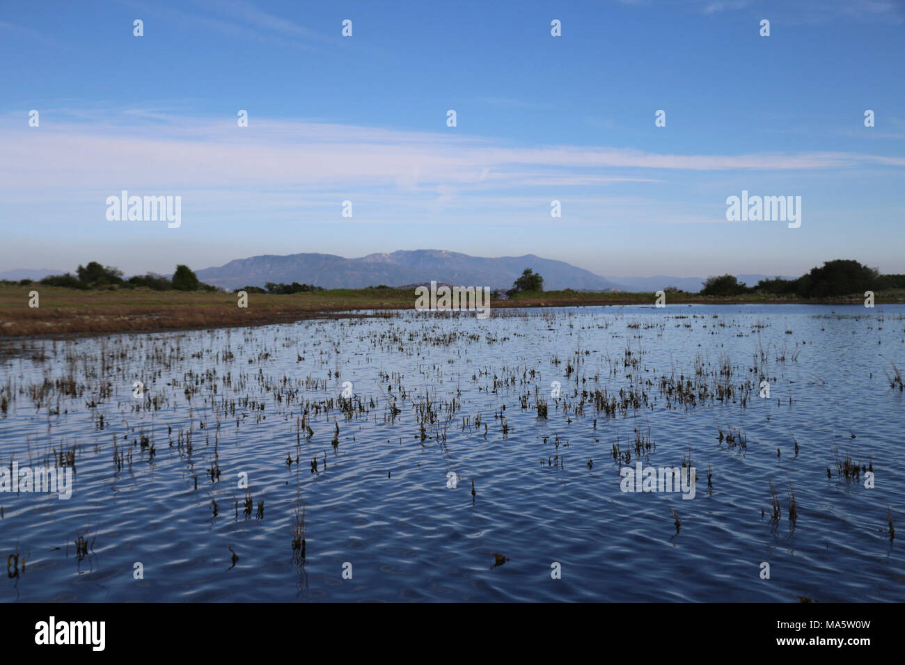 Riserva ecologica del plateau di santa rosa immagini e fotografie stock ...