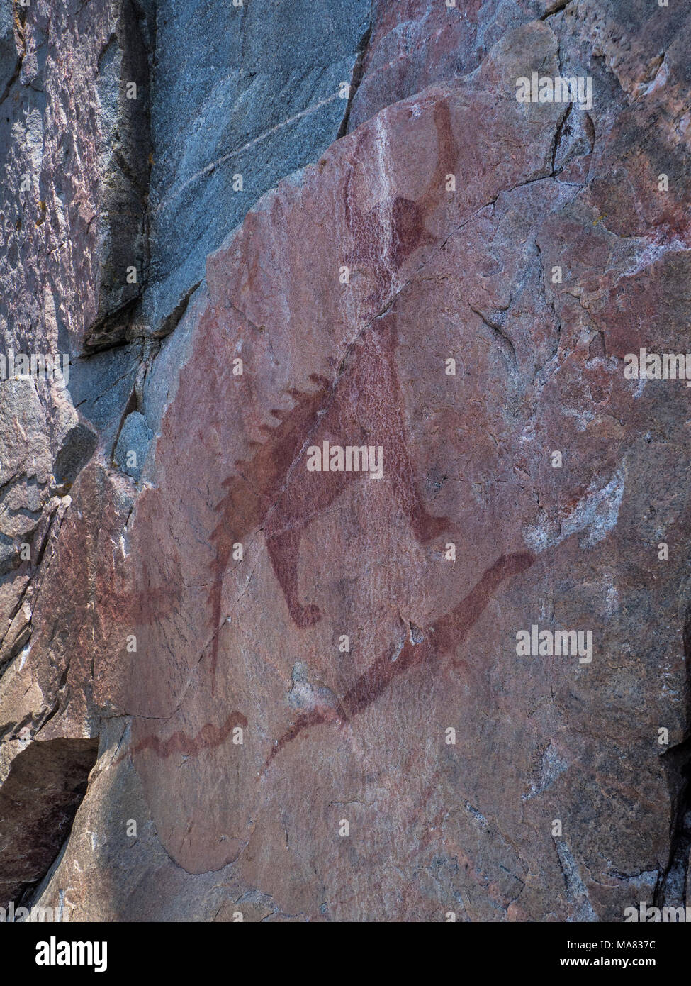 First nations pictographs immagini e fotografie stock ad alta ...