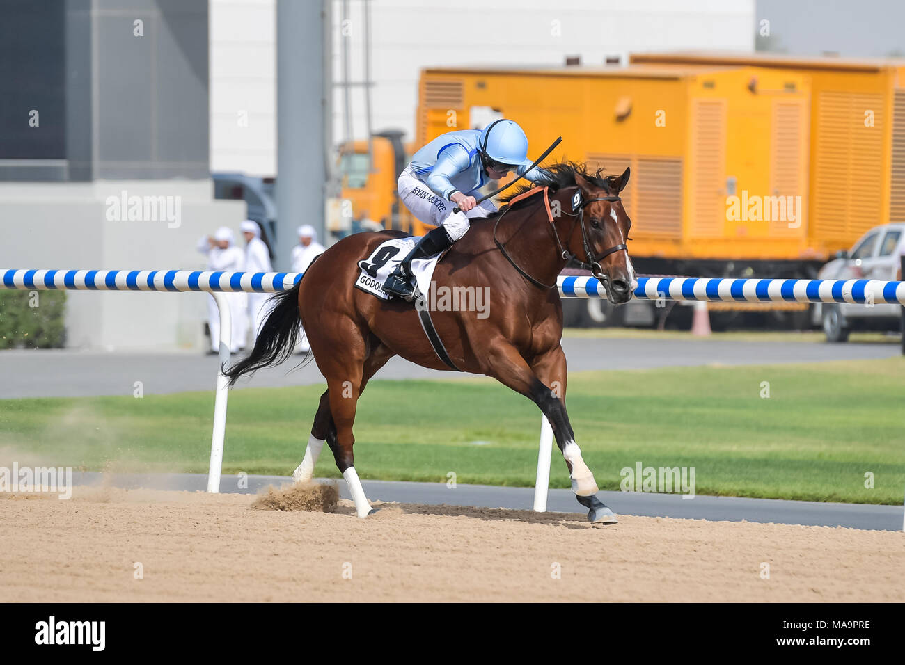 Linea del godolphin arabo immagini e fotografie stock ad alta ...
